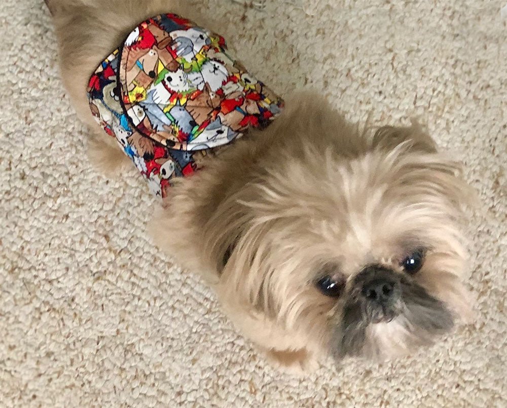 Cuddle Band Limited Edition Dog Friends Print - Cuddle Bands